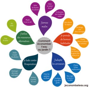 Faire des économies d’eau au jardin : c’est possible et facile ! - Ceseau